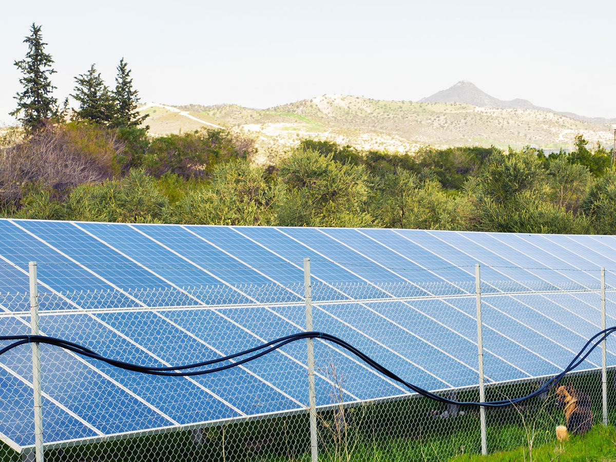 Community Energy Network